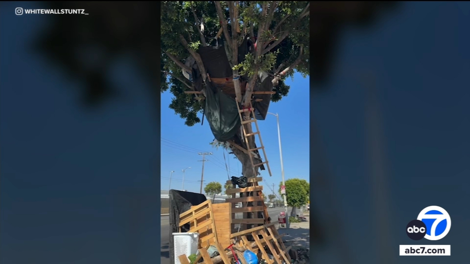 Homeless man builds three-story treehouse in South LA that was later torn down by authorities ...
