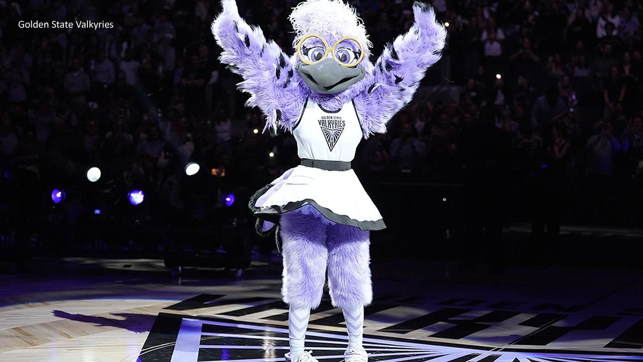 Golden State Valkyries: Mysterious purple egg 'hatches,' reveals Violet ...