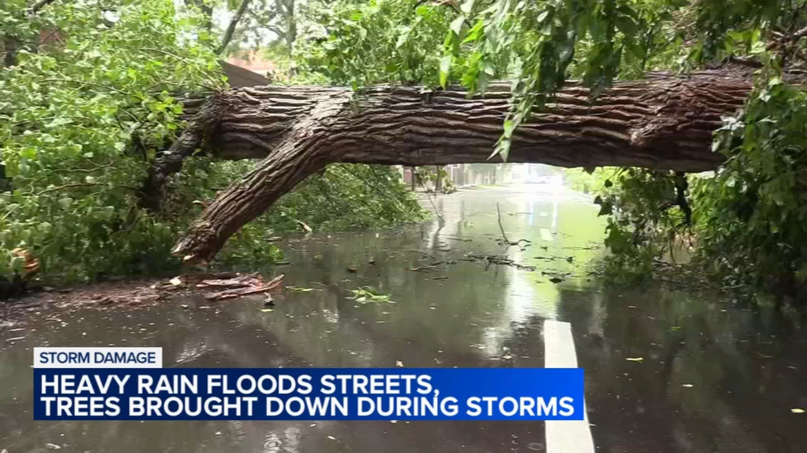 Flash flood Chicago: Strong storms bring heavy rain, bringing flash ...