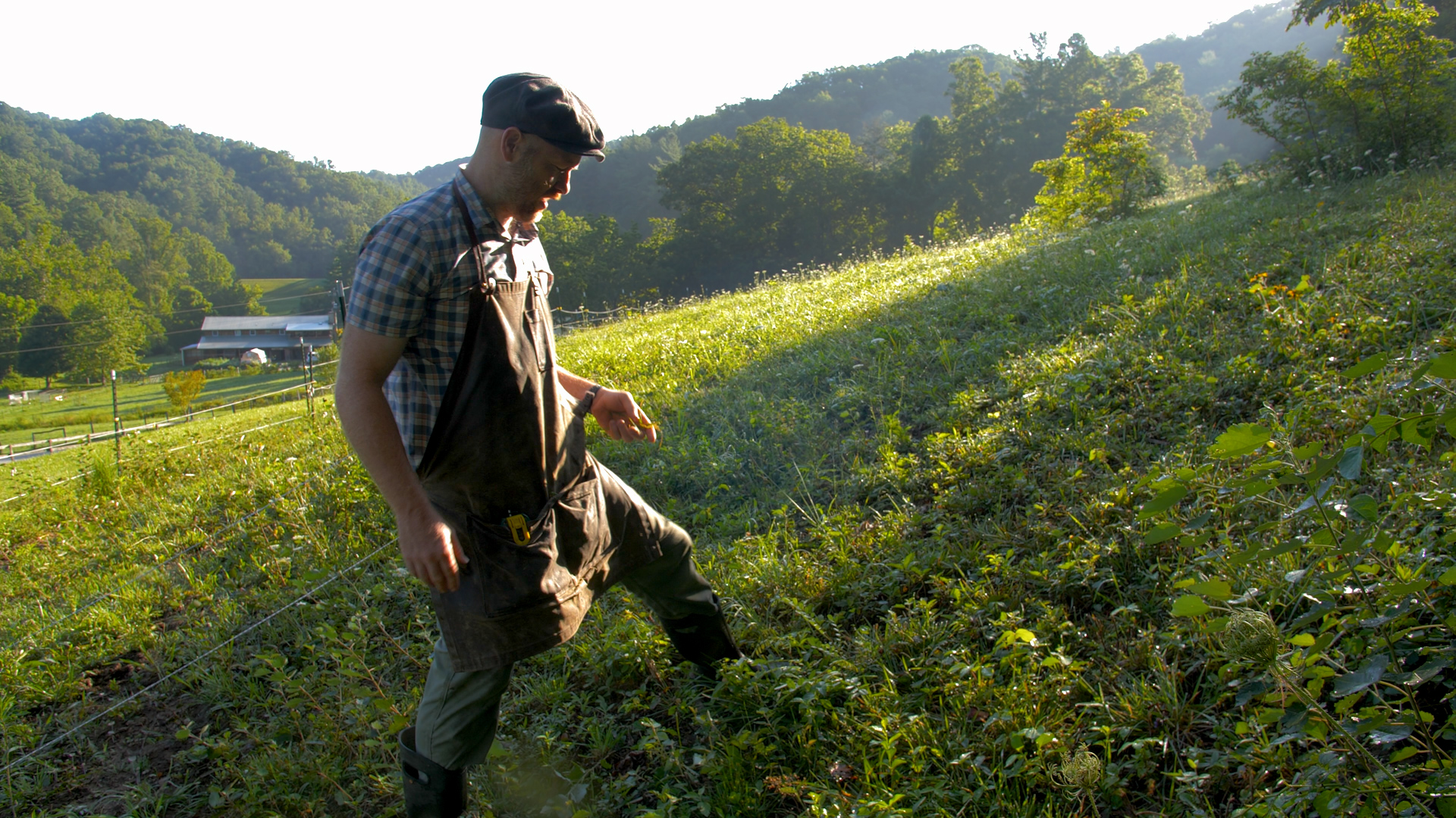 From pasture to pantry: Justin Rhodes' homestead journey - ABC7 Chicago