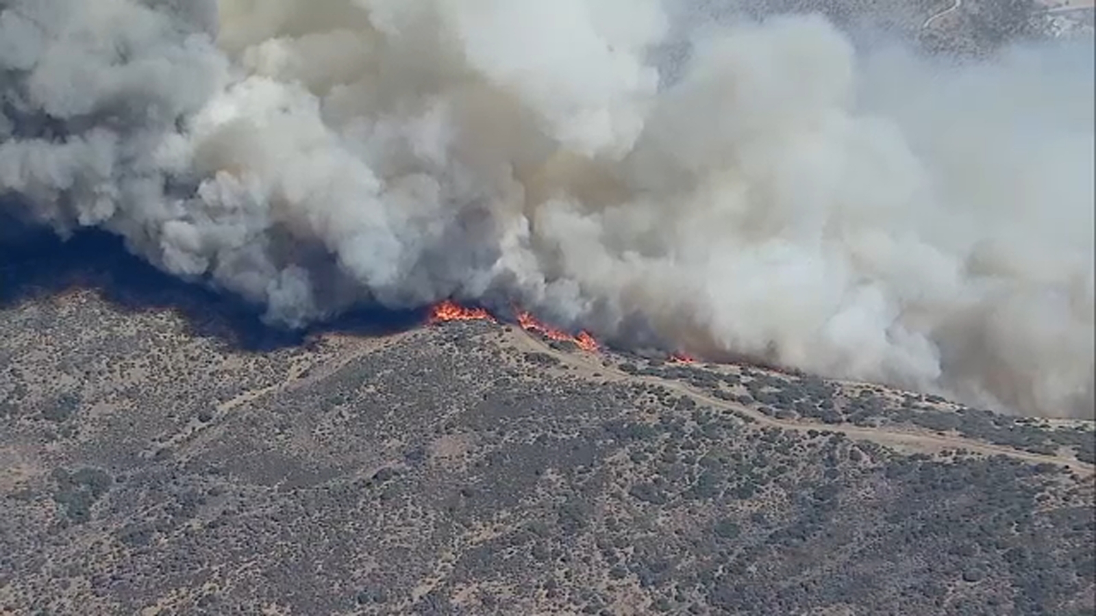 Hawk Fire: Brush fire in community of Acton near Santa Clarita grows to ...