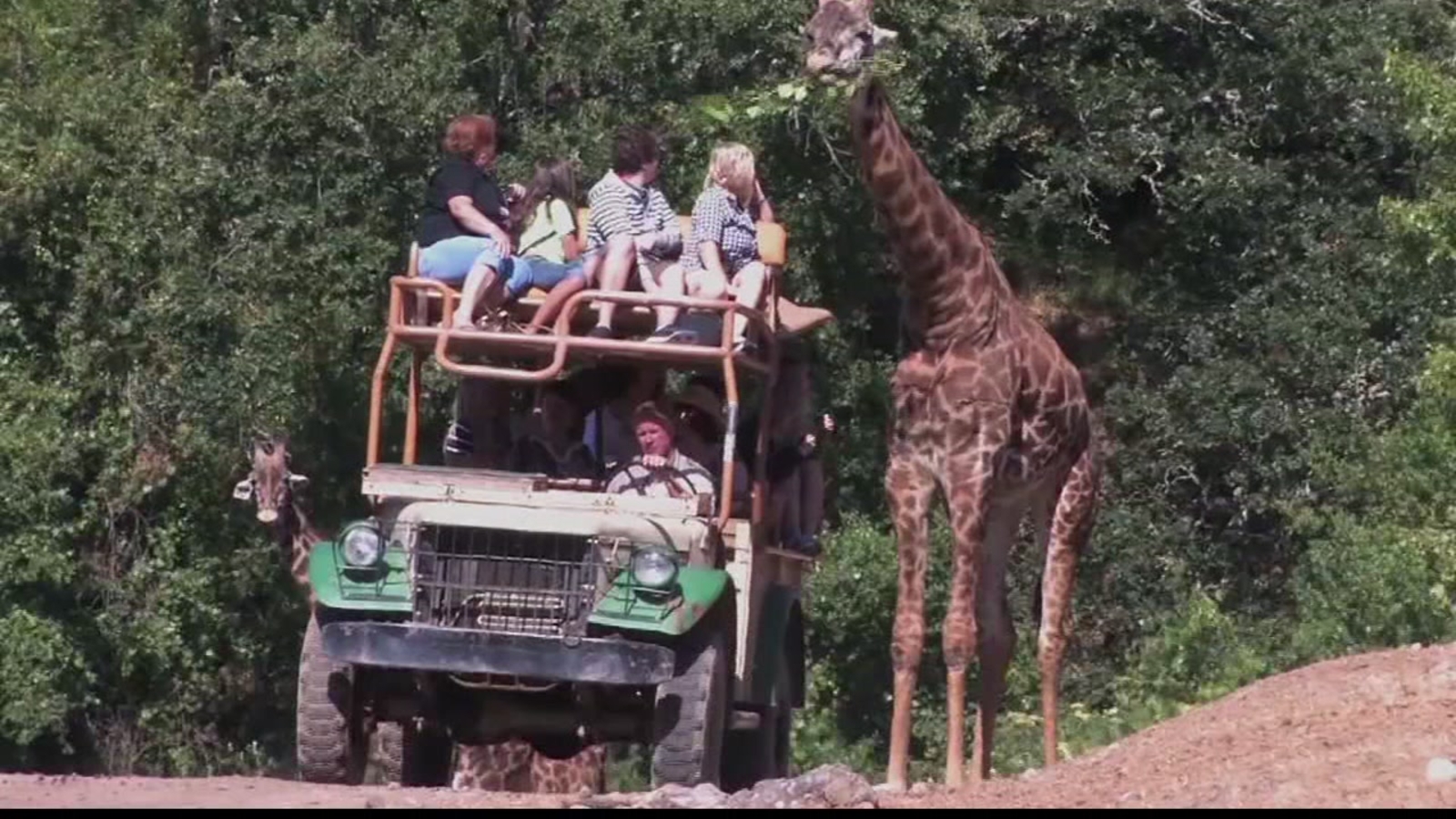 Bay Area LIFE: Plan the perfect getaway to Santa Rosa - ABC7 San Francisco