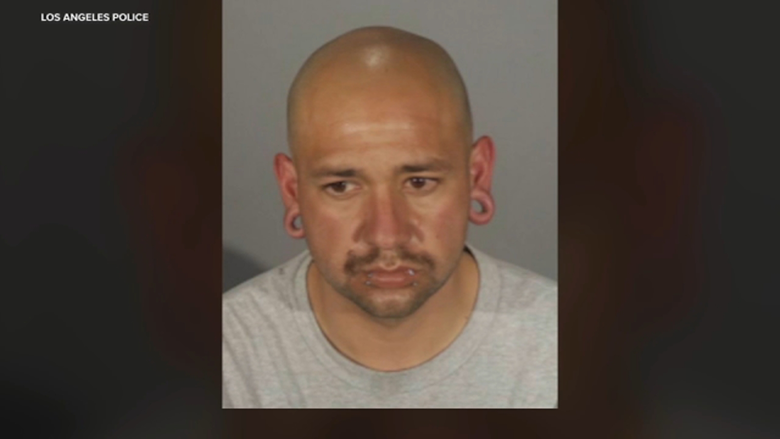 Suspect must stand trial in shooting of driver who plowed into crowd ...