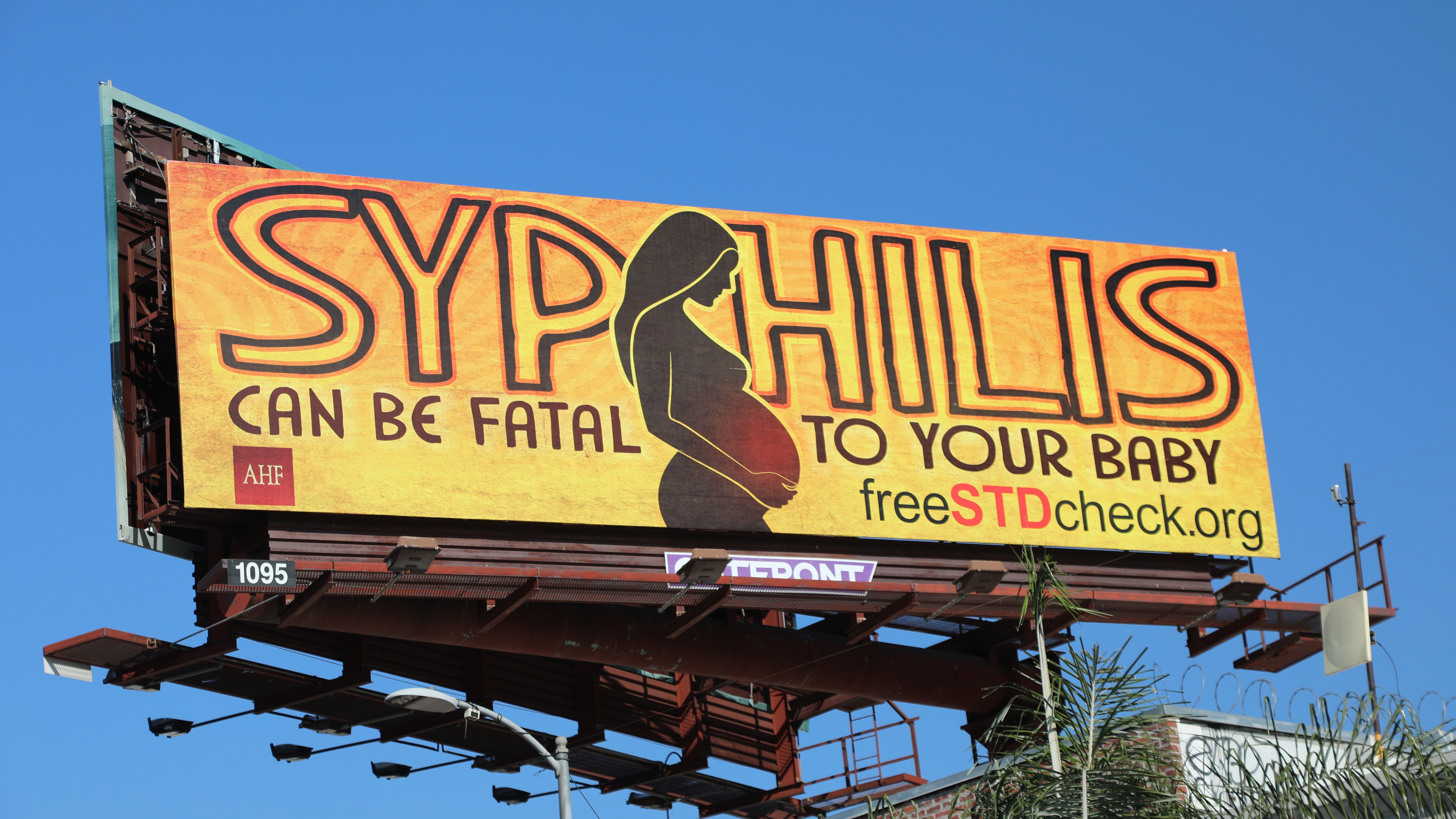 What to know about congenital syphilis after 3 infants die in New York ...