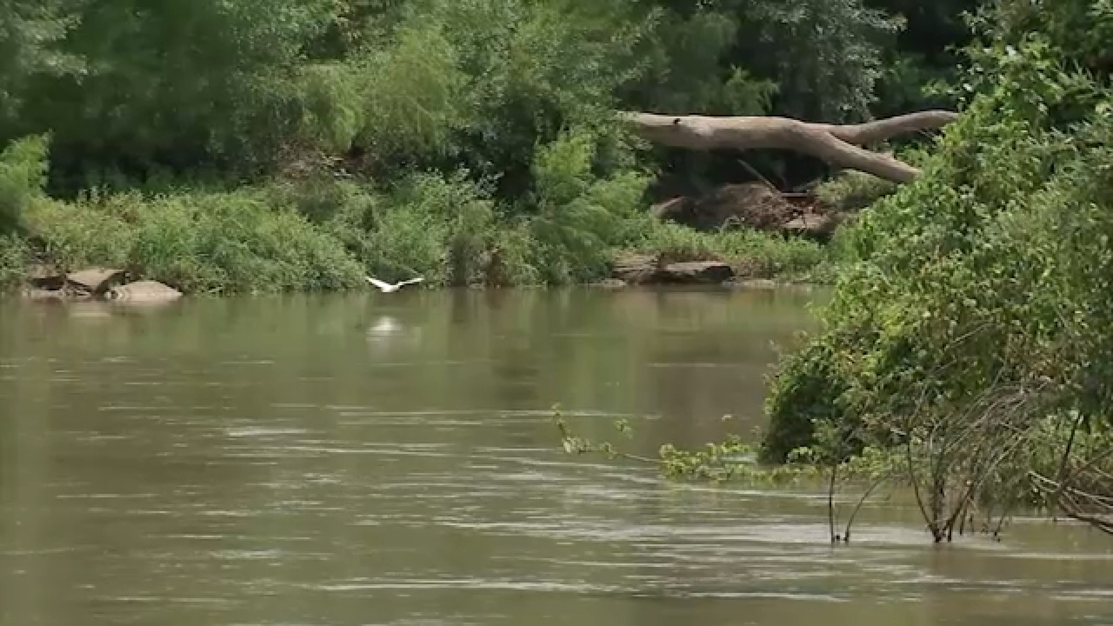 Houston flood: Harris County officials say they need federal help for ...