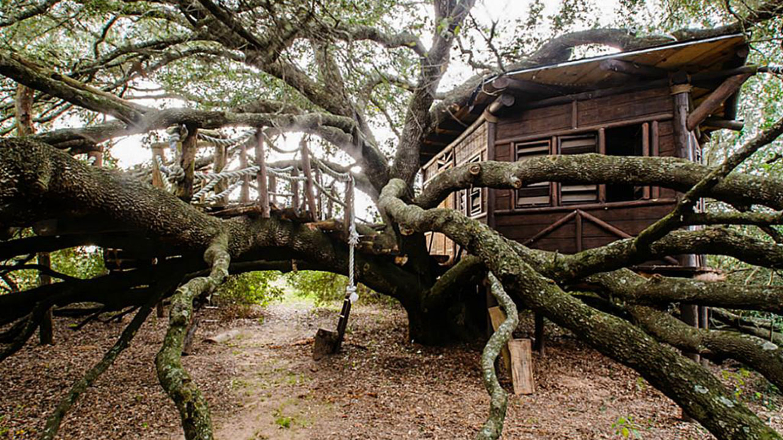 Get back to nature in Hockley home's treehouse - ABC13 Houston