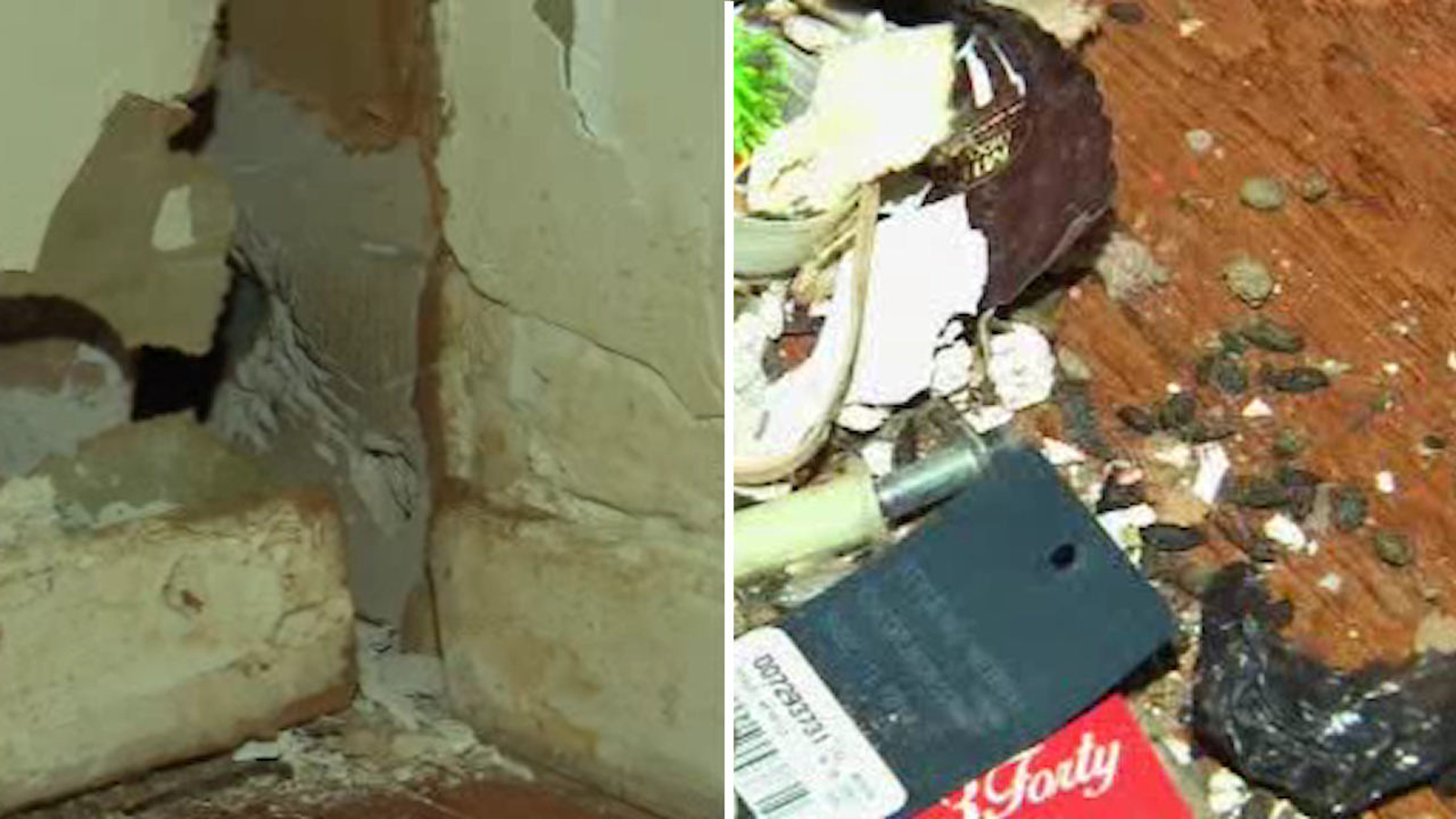 Family recounts horrifying rat encounters, calls for change at Bronx ...