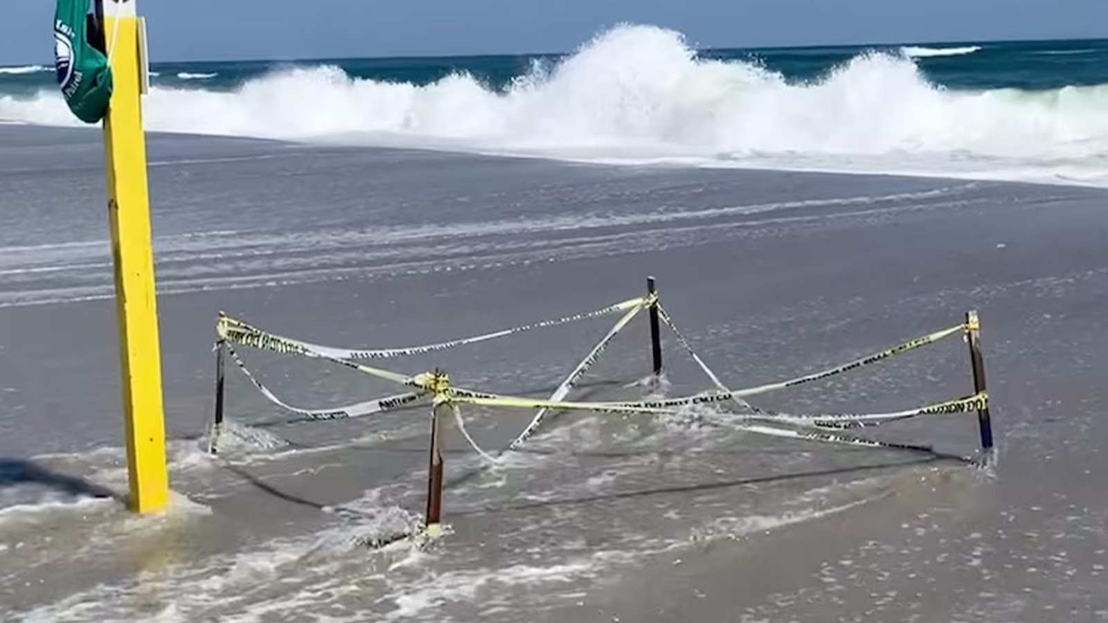 Hurricane Erin destroys sea turtle nests along North Carolina beach ...