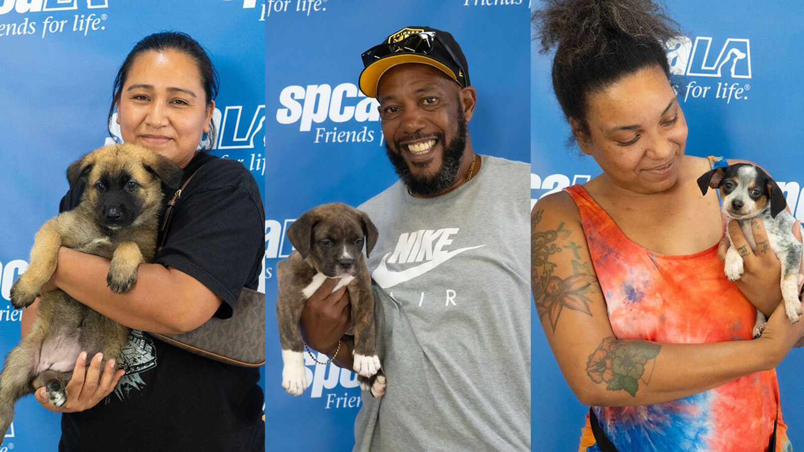 All 26 Puppy Palooza pups have found new homes - ABC7 Los Angeles