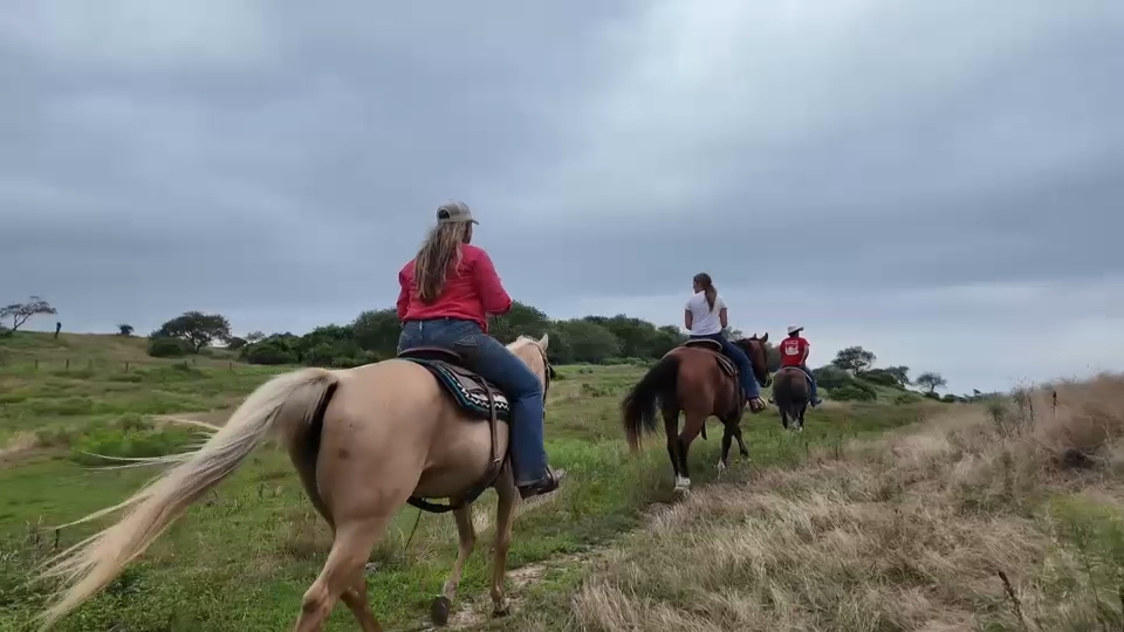 Eyewitness News visits Deep Hollow Ranch, the oldest ranch in America ...
