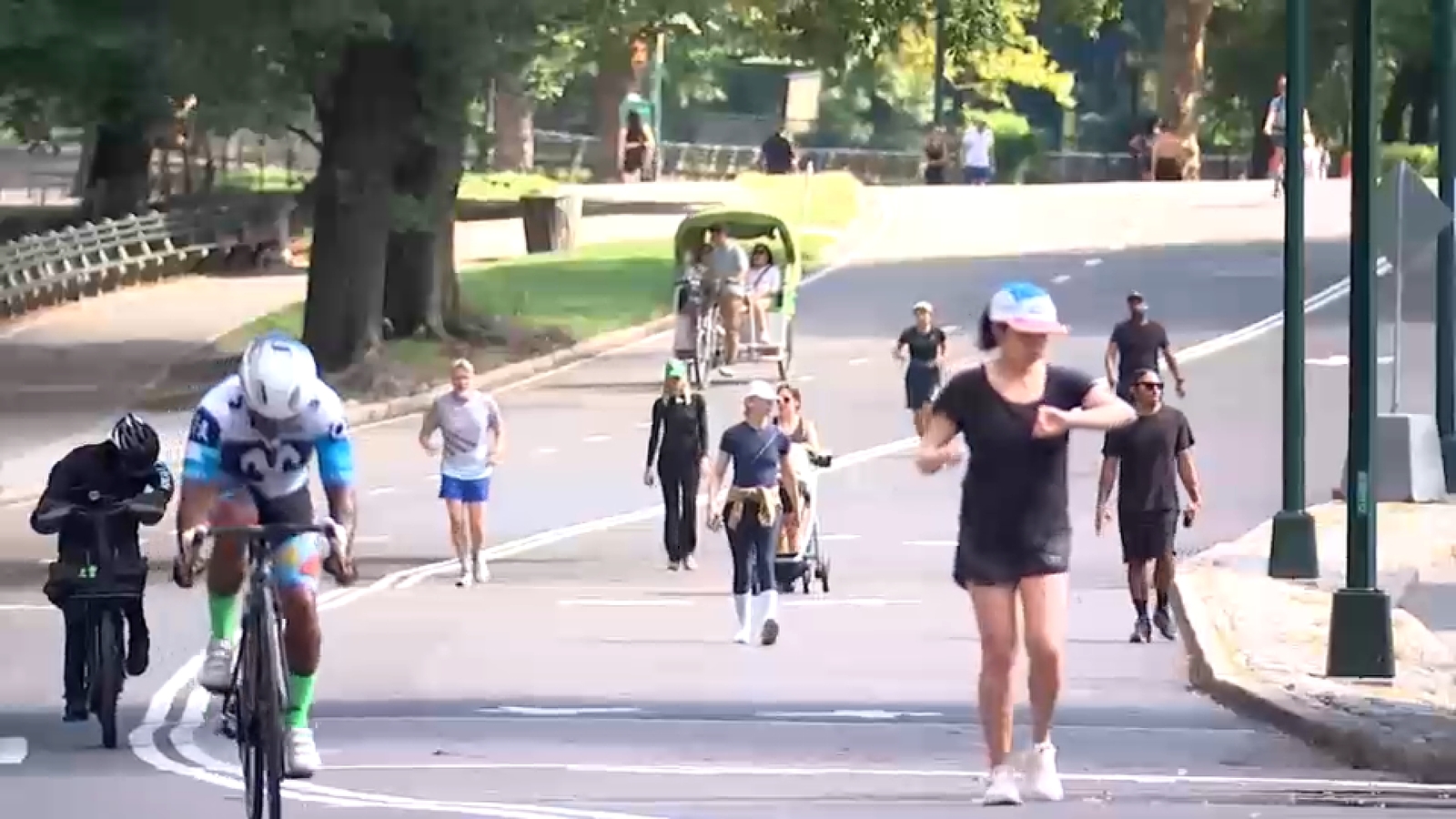 Central Park attacks: 1 man choked, other bitten during 2 separate ...