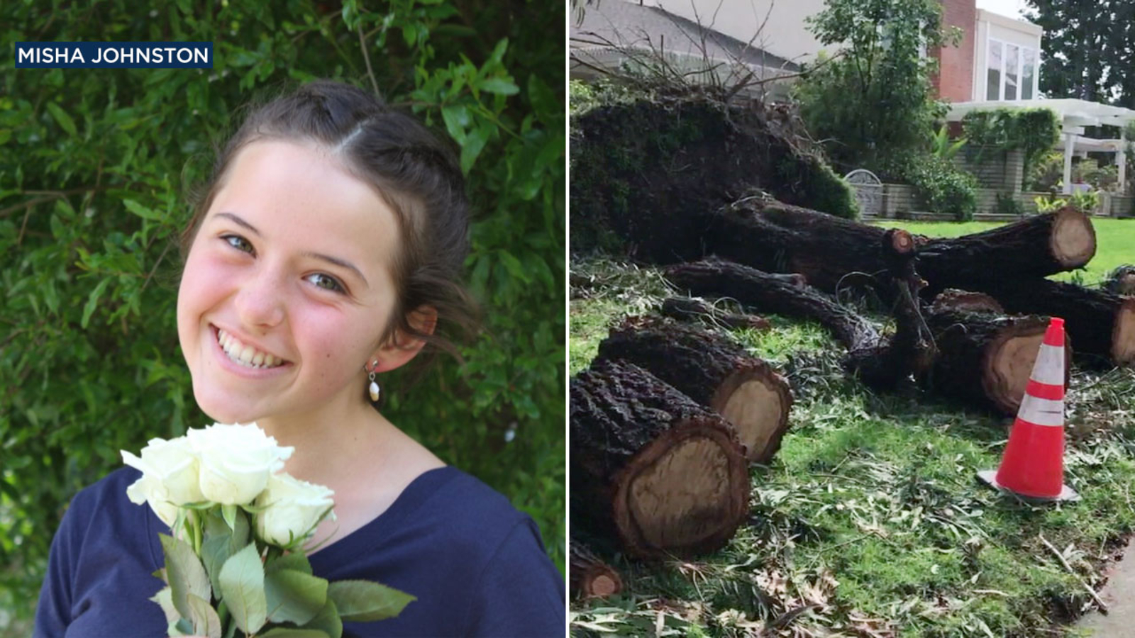 Irvine girl, 13, seriously injured after tree falls on her during storm ...