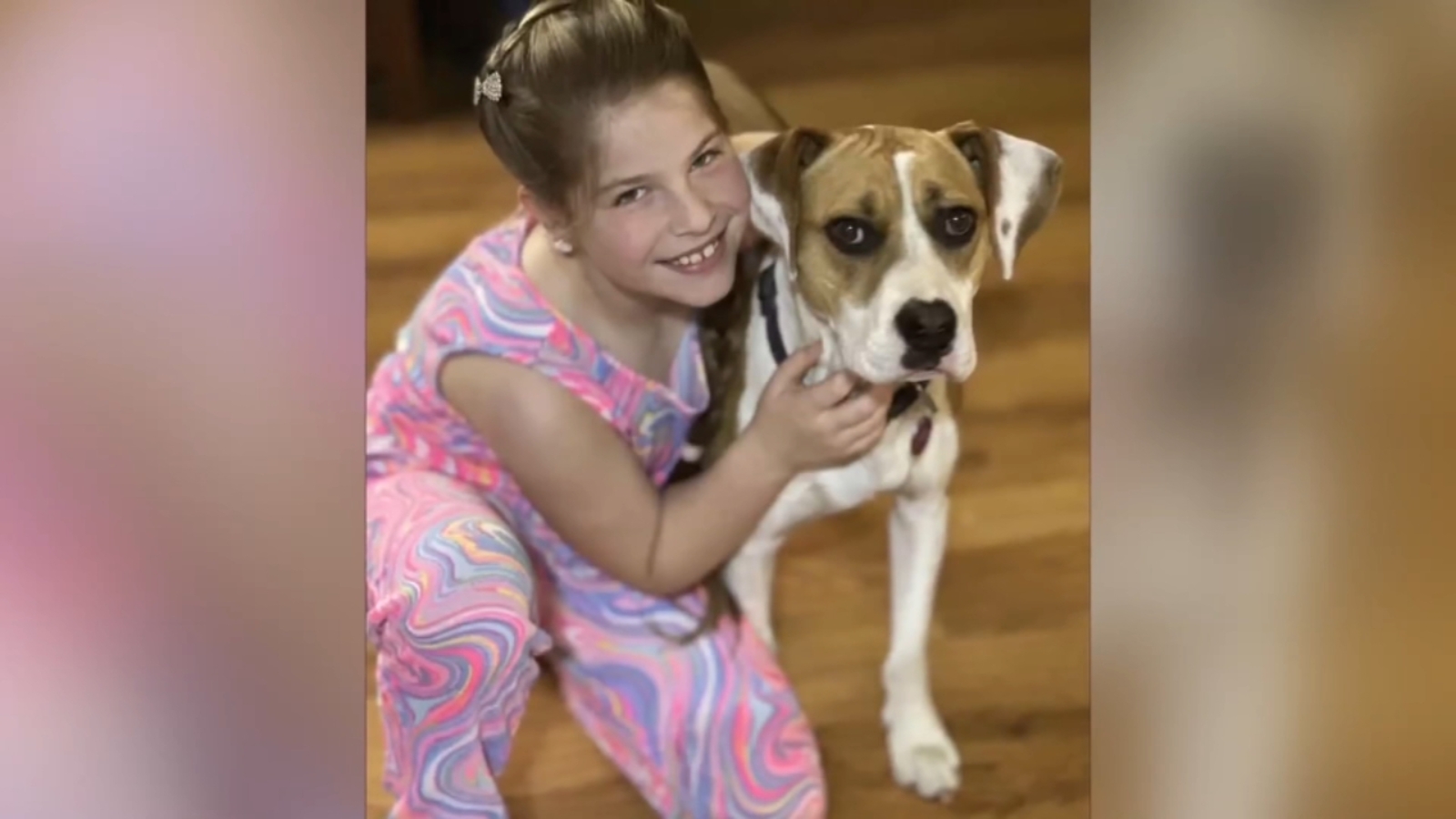 Investigators probe deaths of 21 dogs at upstate New York boarding ...