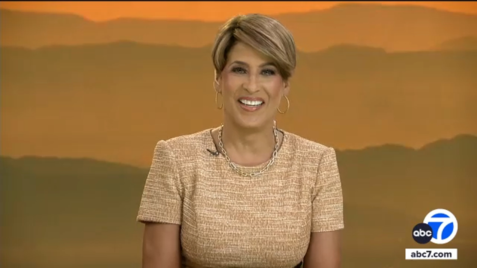 Leslie Sykes announces plans to retire after more than 30 years at ABC7 - ABC7 Los Angeles