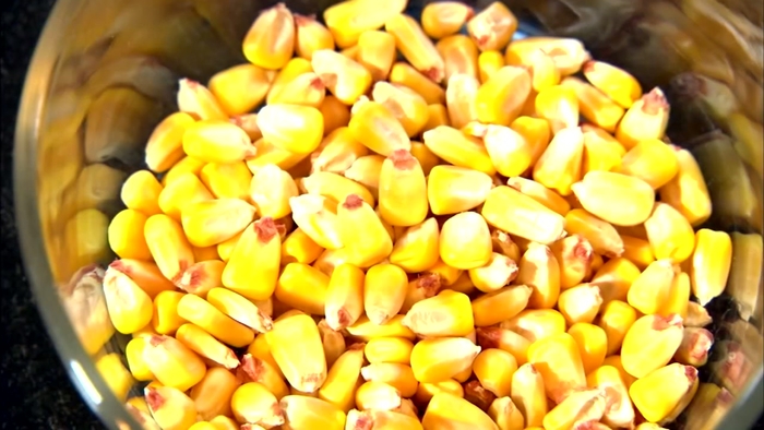 BASF Science Club - ABC11 Raleigh-Durham