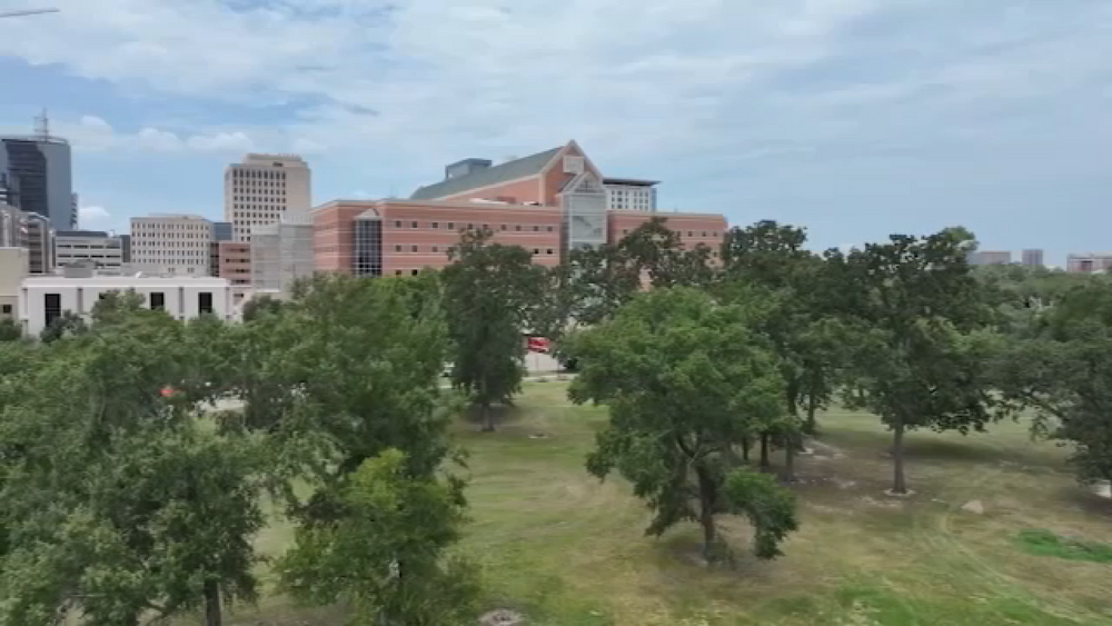 Proposal puts Hermann Park land at risk of being used for Ben Taub ...