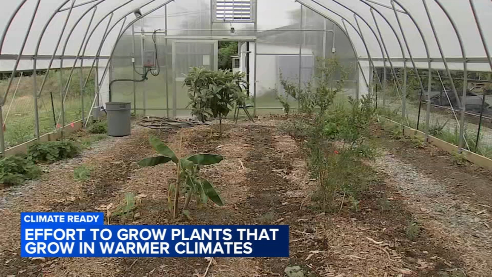Nonprofit exploring effort to grow plants that grow in warmer climates ...