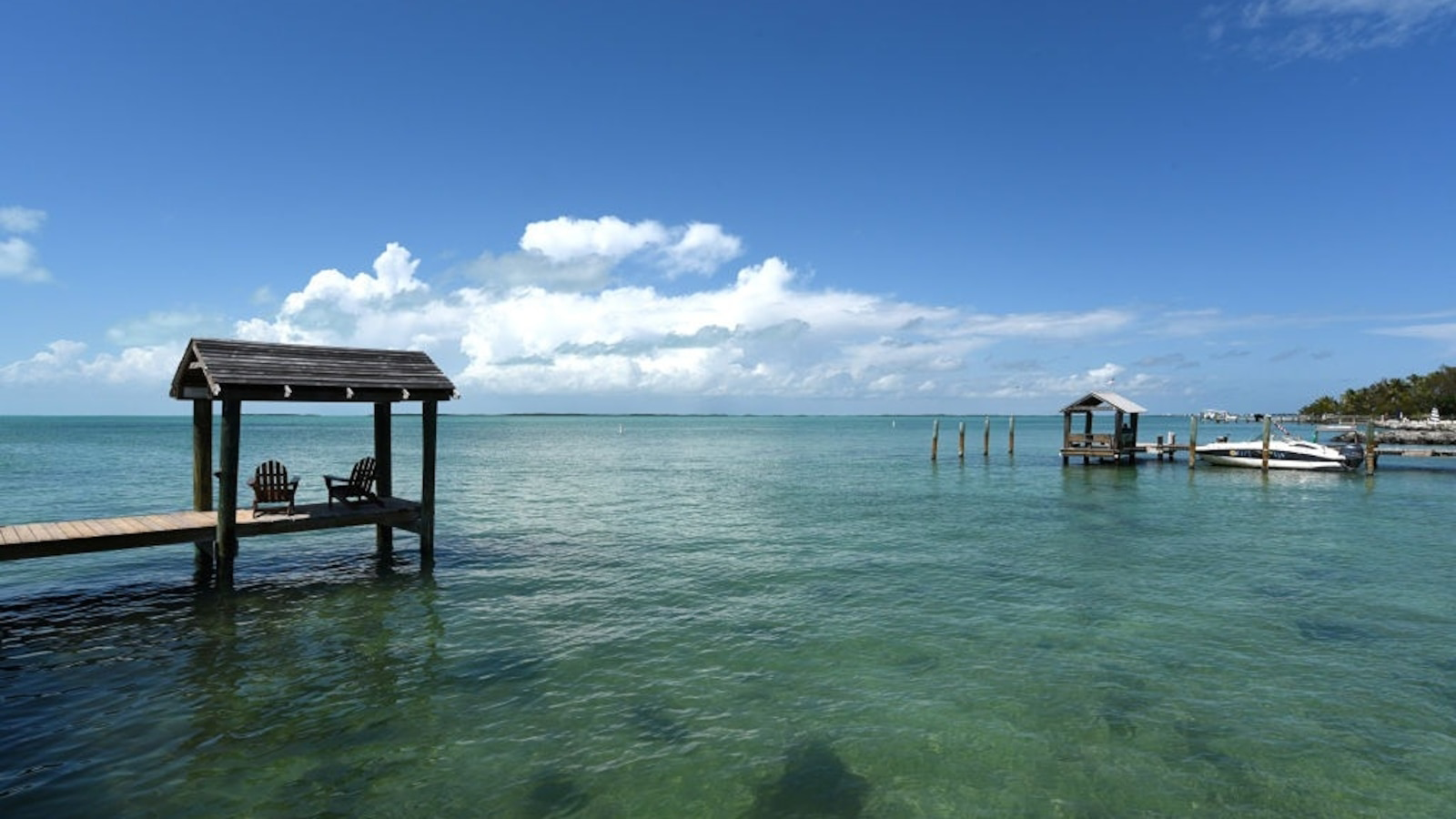 Key Largo shark attack today: Shark bites 8-year-old boy in Florida ...