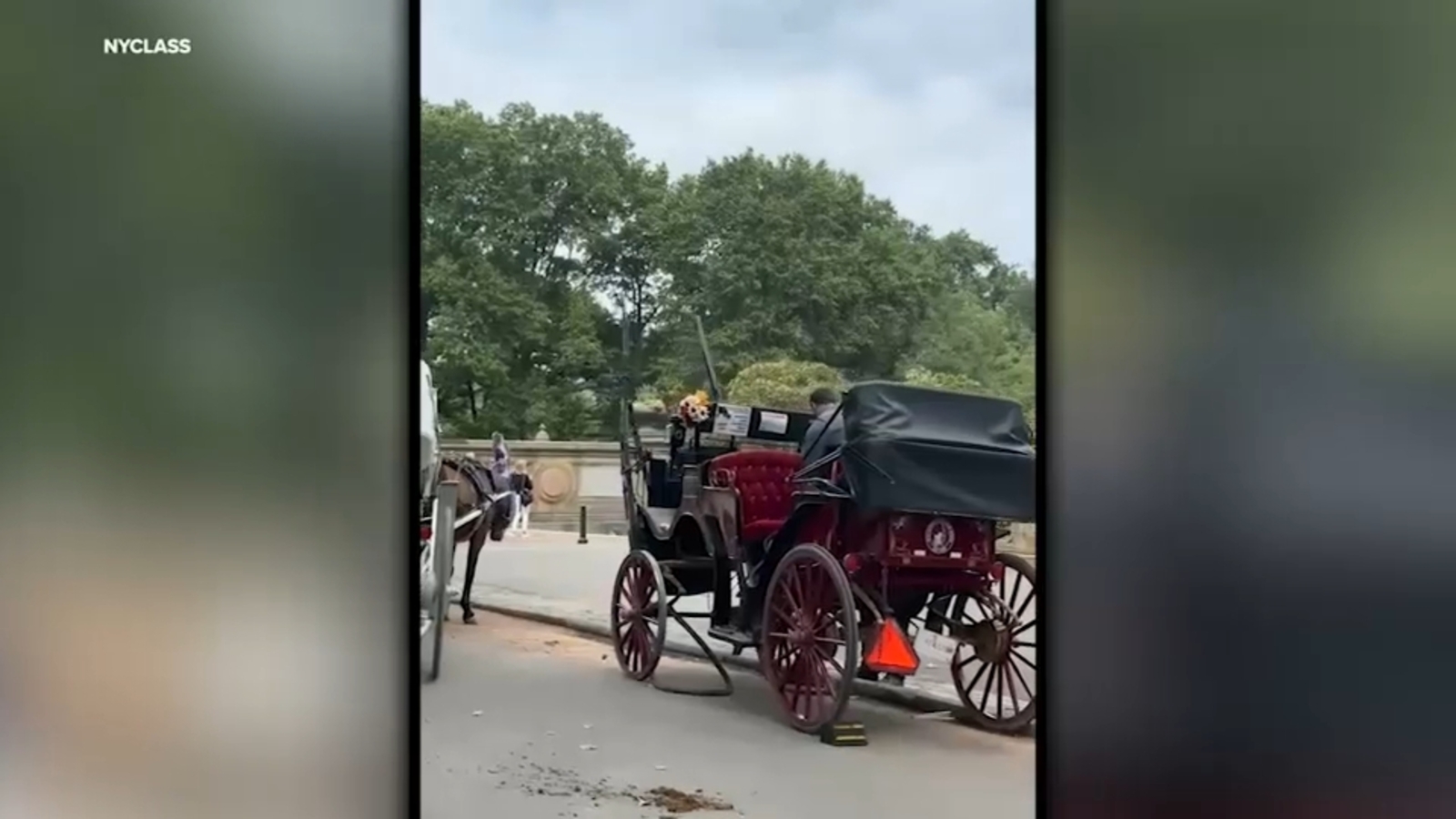 Spooked carriage horse takes off running in New York's Central Park ...