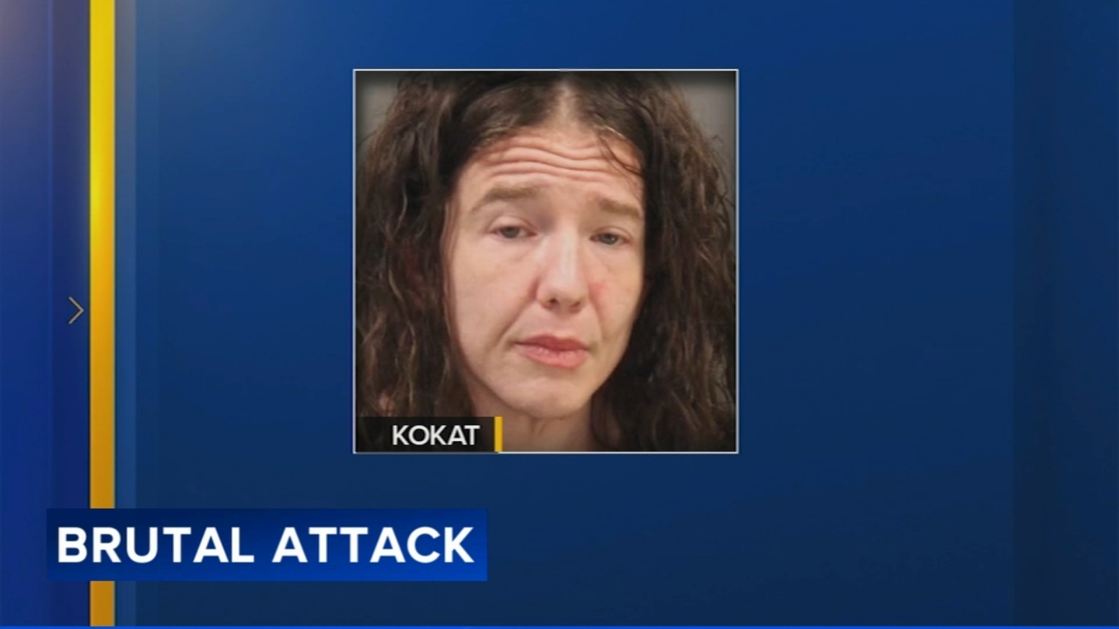 Teacher's aide hospitalized after allegedly being beaten by her ...