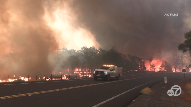 TCU September Lightning Complex Fire: Woman and her dog survive Chinese ...