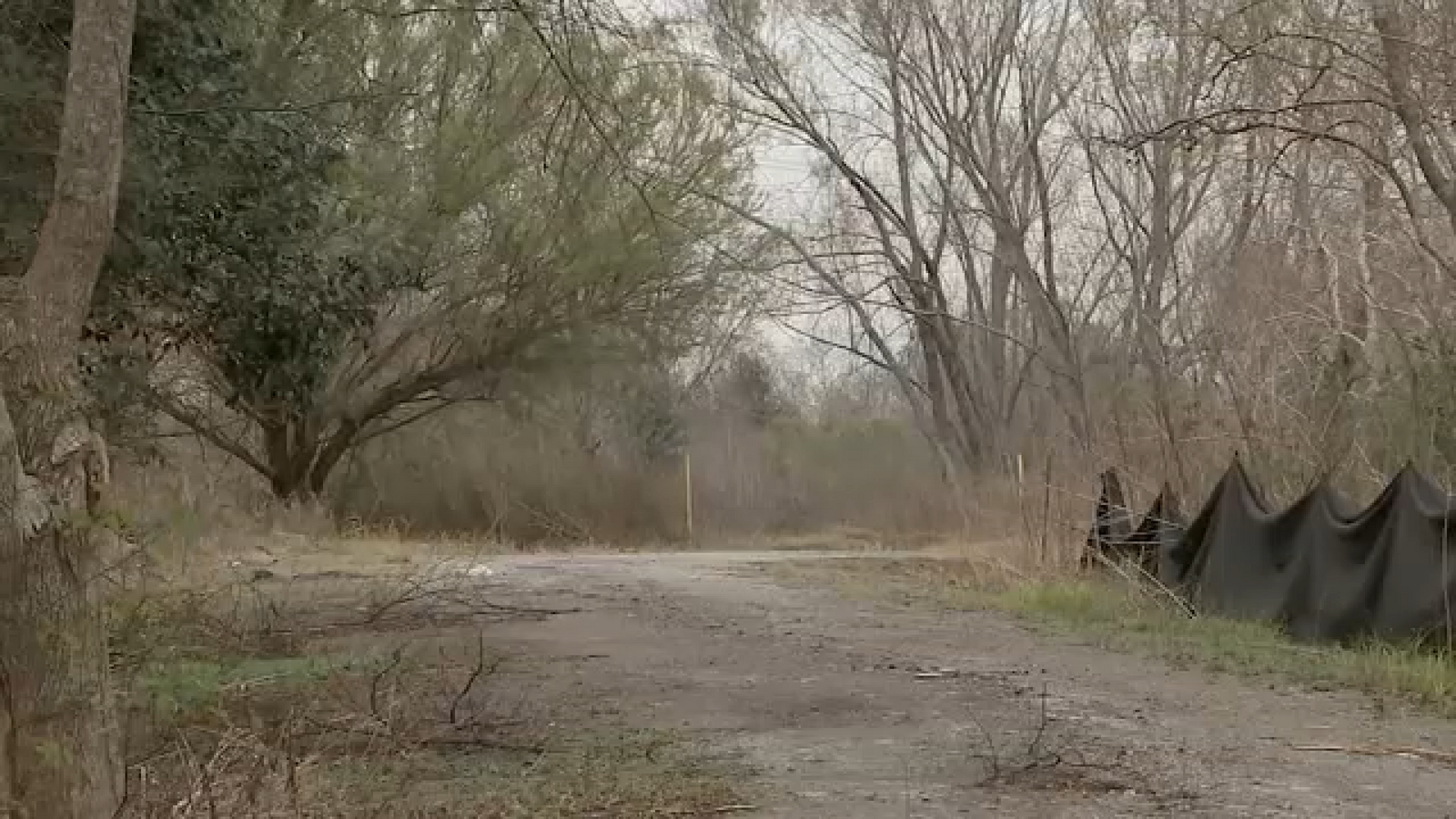 Andre Medlock faces murder charge for his alleged involvement in ...