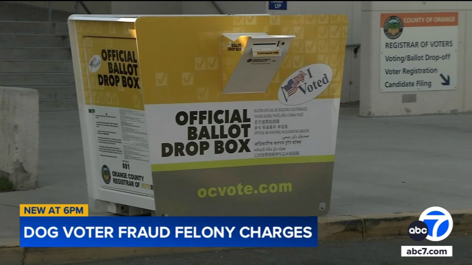 Orange County woman allegedly registered her dog to vote, submitted ...