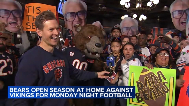 Vikings-Bears game today: Minnesota Vikings defeat Chicago Bears 27-24 ...