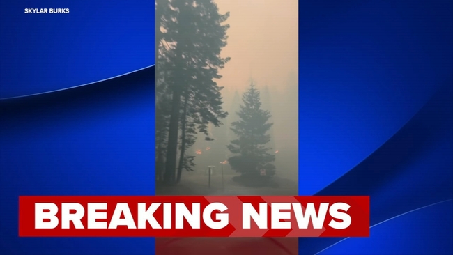 Garnet Fire spreads to McKinley Grove of Giant Sequoias - ABC30 Fresno