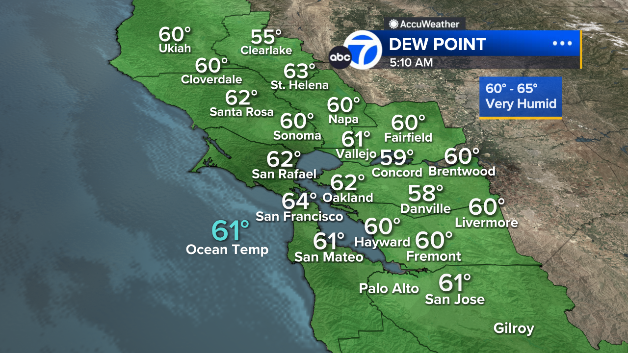 Bay Area weather: Rain, high humidity return to San Francisco Bay Area ...