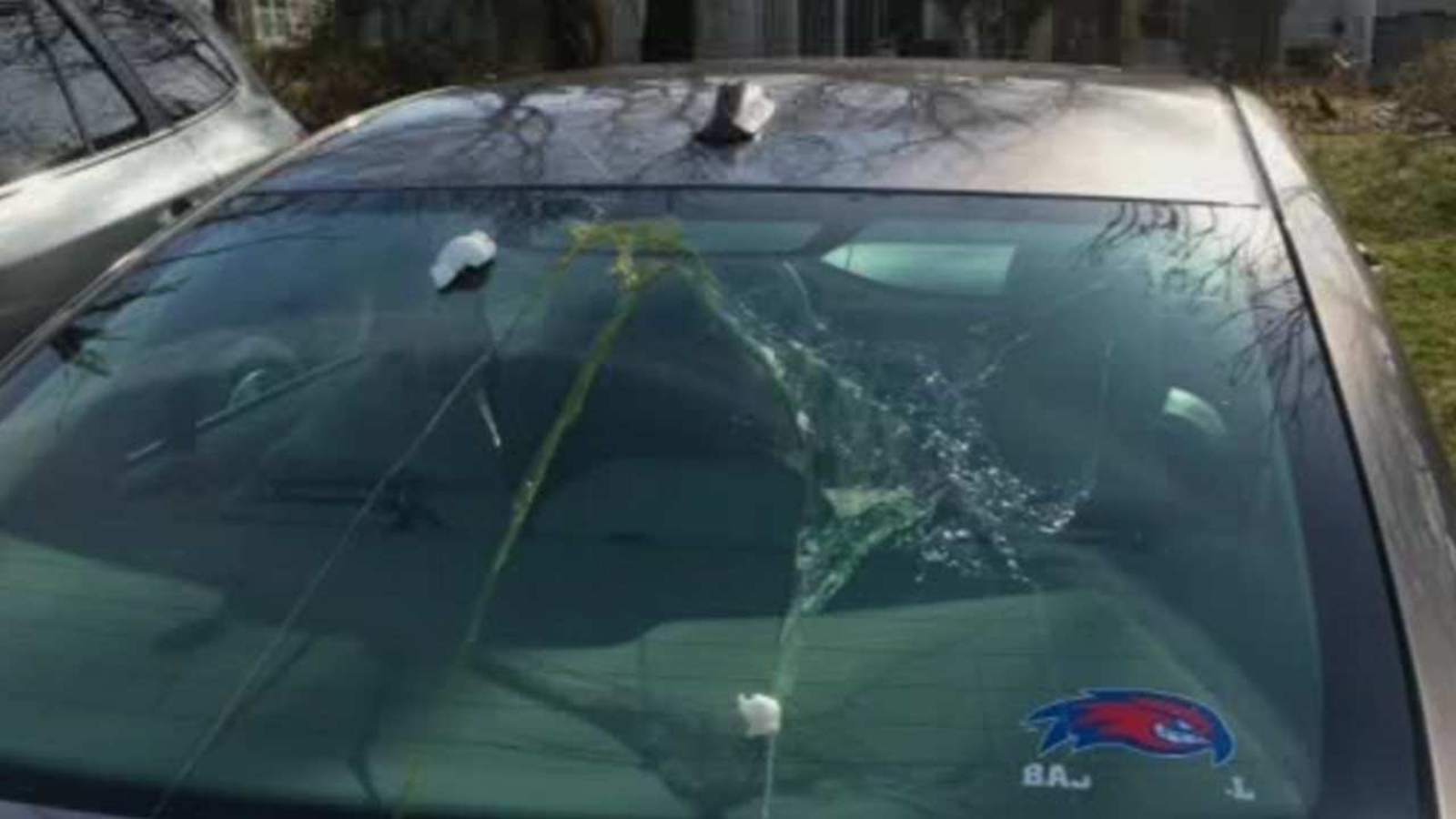 Scores of vehicles egged by vandals in North Brunswick, New Jersey ...