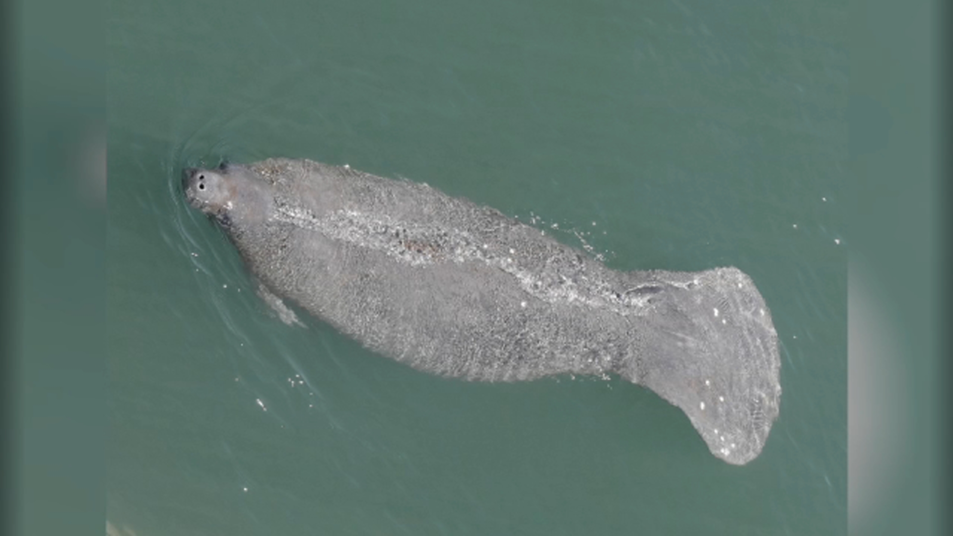 6abc Action News - WPVI Philadelphia, Pennsylvania, New Jersey and Delaware News