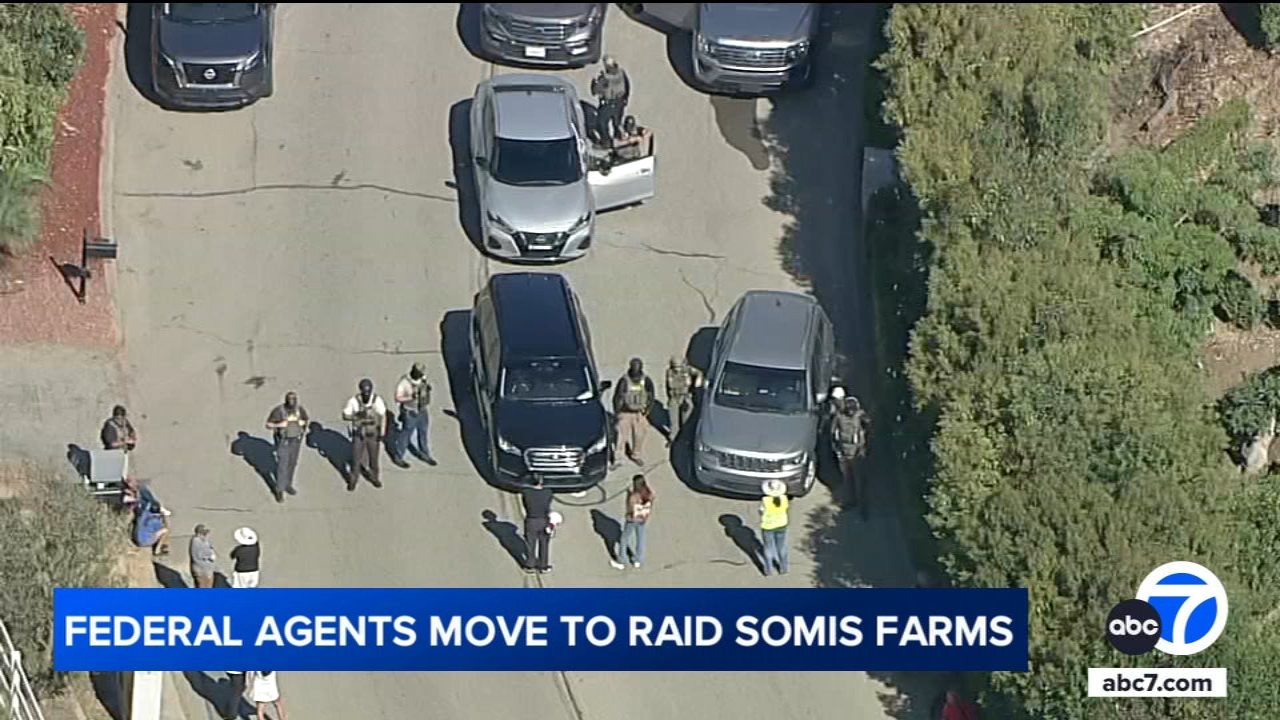 ROAD RAGE: Top 10 most dramatic SoCal road rage fights caught on camera ...