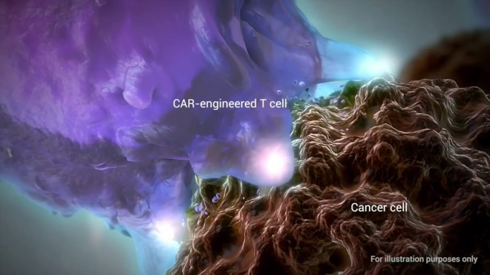 CAR T-cell therapy turns blood cells into cancer fighters - ABC7 Los ...