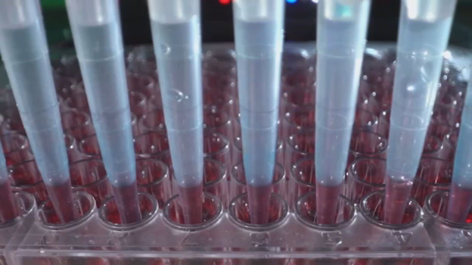 Montgomery County Sheriff's Office joins rapid DNA technology pilot ...