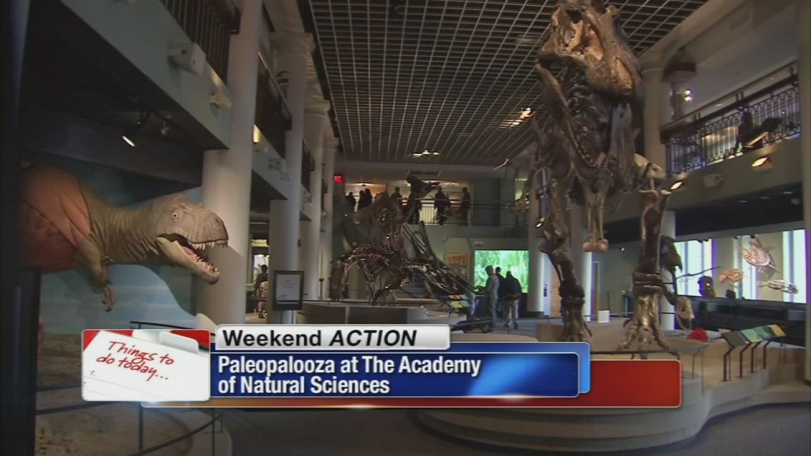 Weekend Action - 6abc Philadelphia