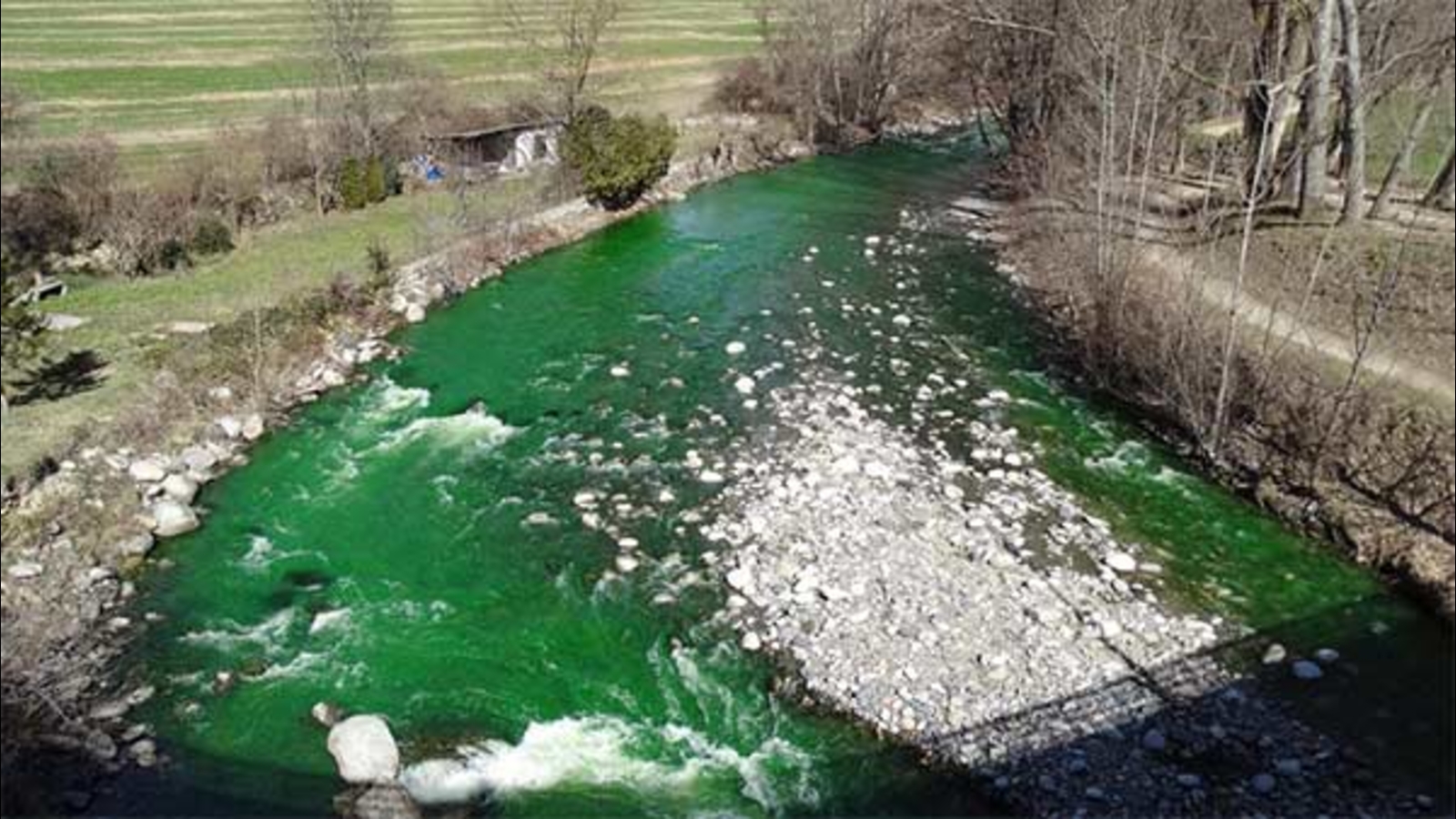 Why is this river fluorescent green? - ABC7 Chicago