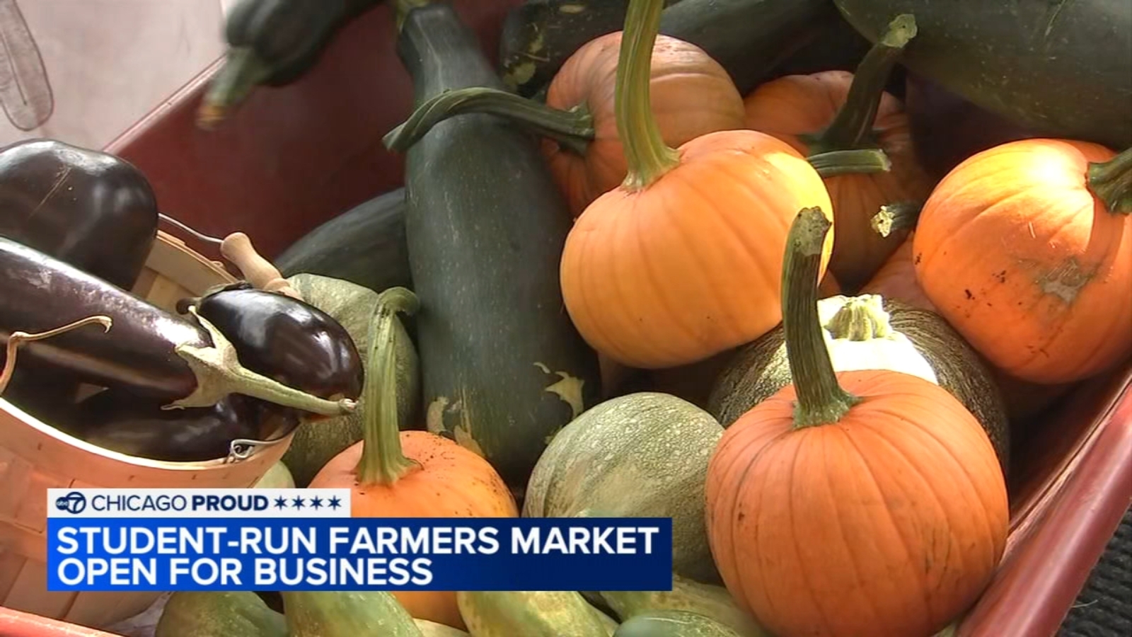 Chicago Heights farmer's market: Barrack Obama School of Leadership and ...