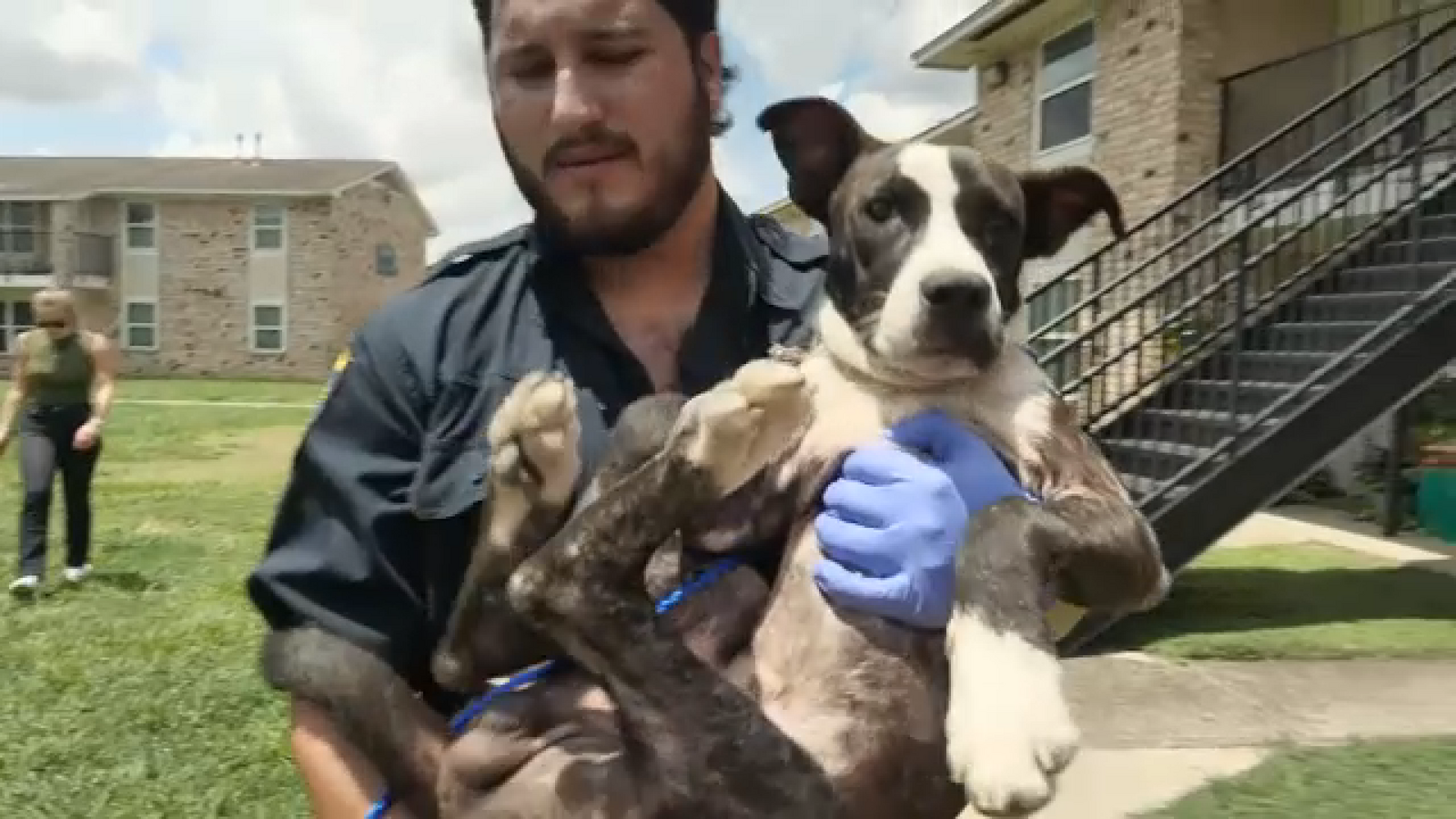 BARC Houston aims to reduce number of dangerous animal calls around ...