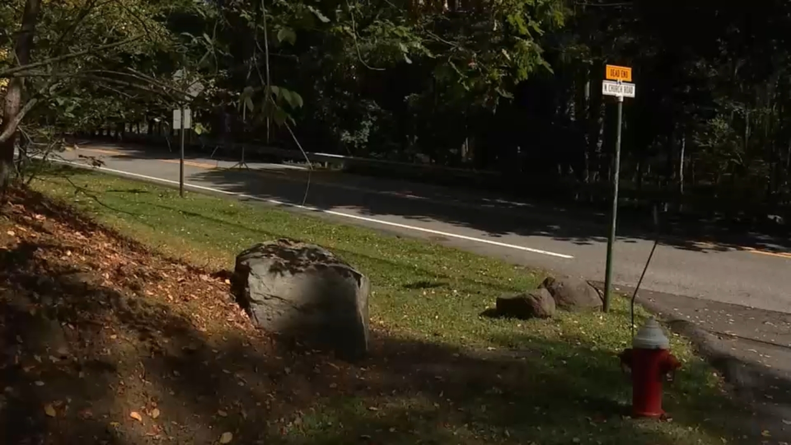 Coyote euthanized after 2 people attacked while walking dogs in Saddle ...