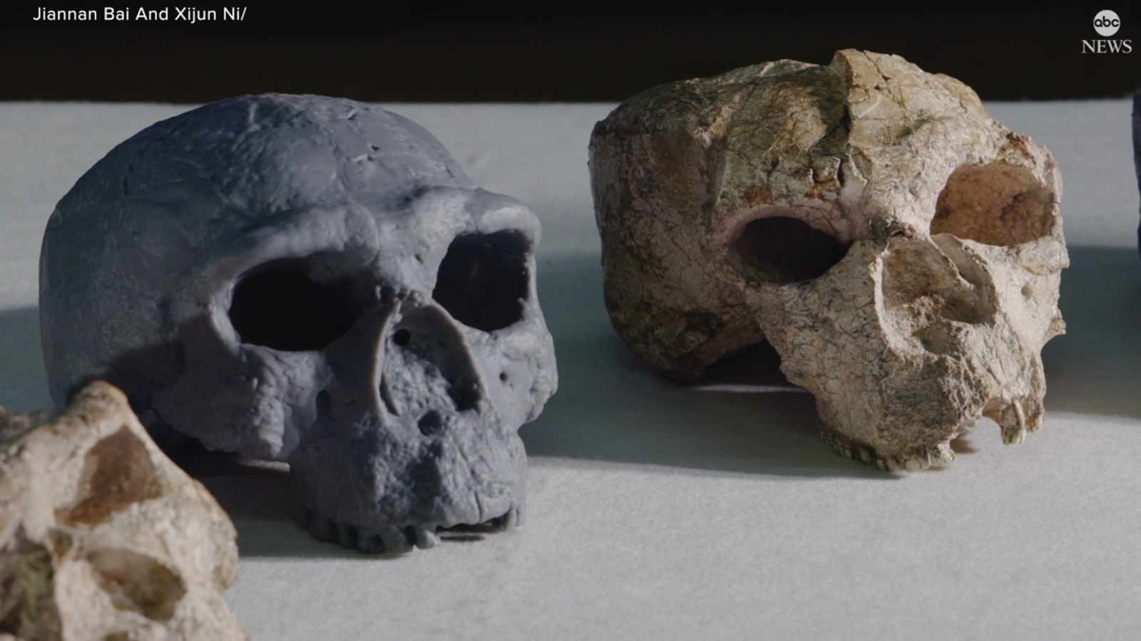 Million-year-old skull could rewrite timeline of human origin ...