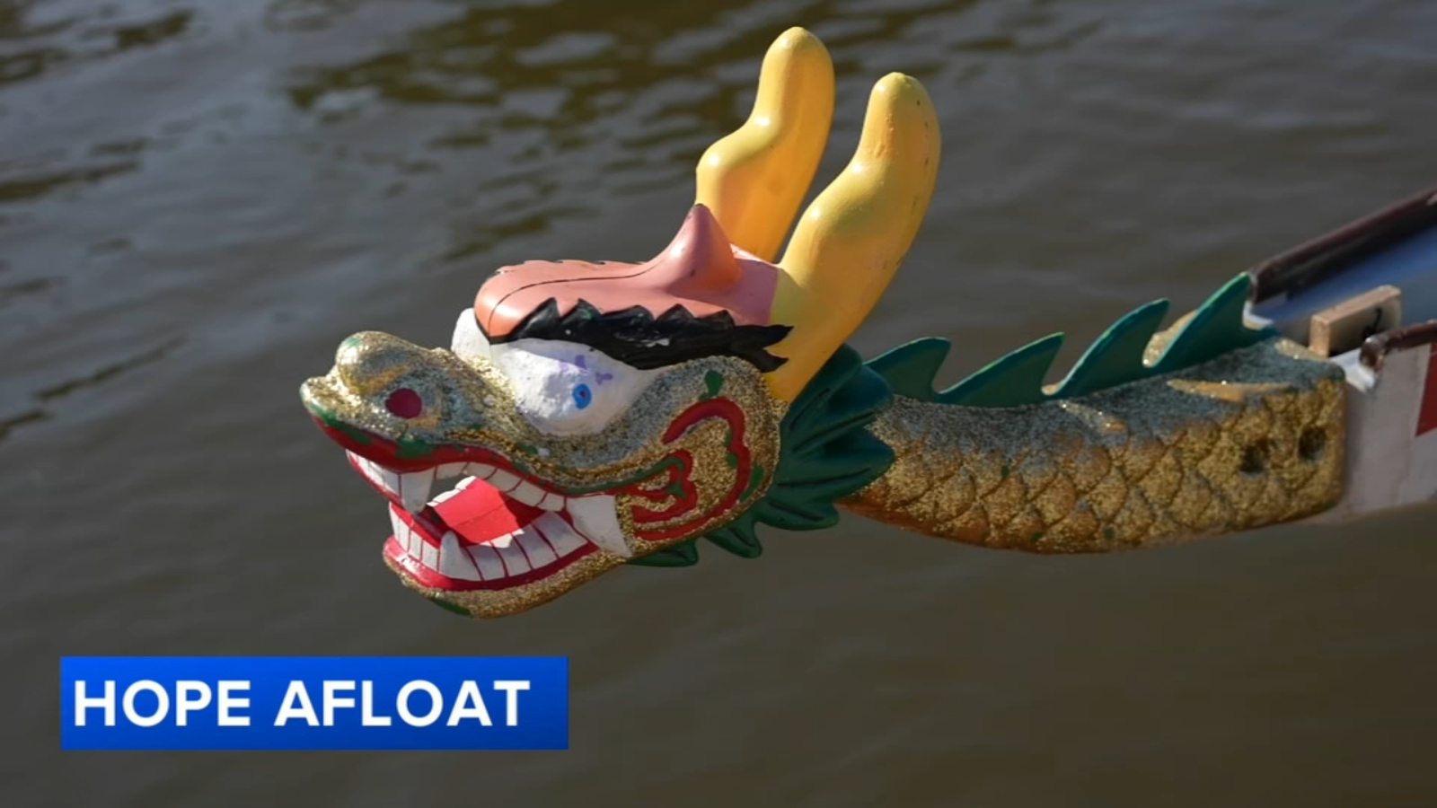 Philly breast cancer survivor team competes in Germany - 6abc Philadelphia