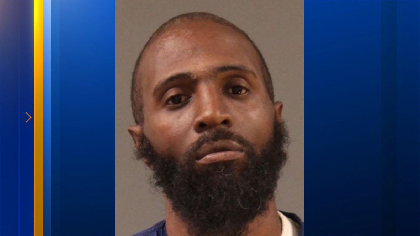 Man charged in fatal hit-and-run of 77-year-old Dorothea Cathell in ...