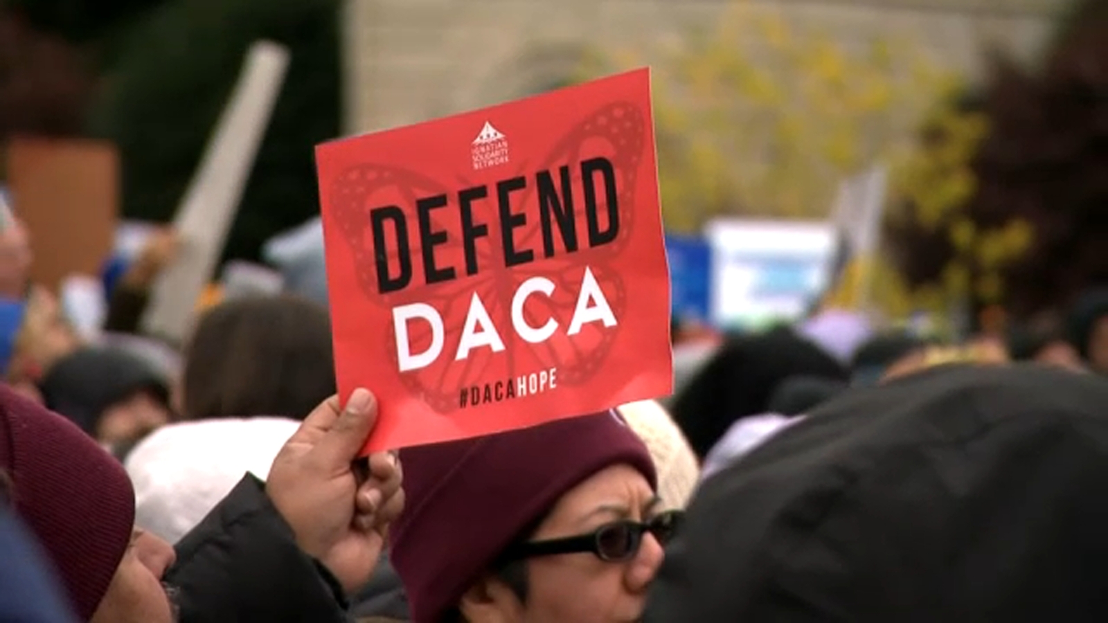 New DACA applications to be processed by federal government for 1st ...