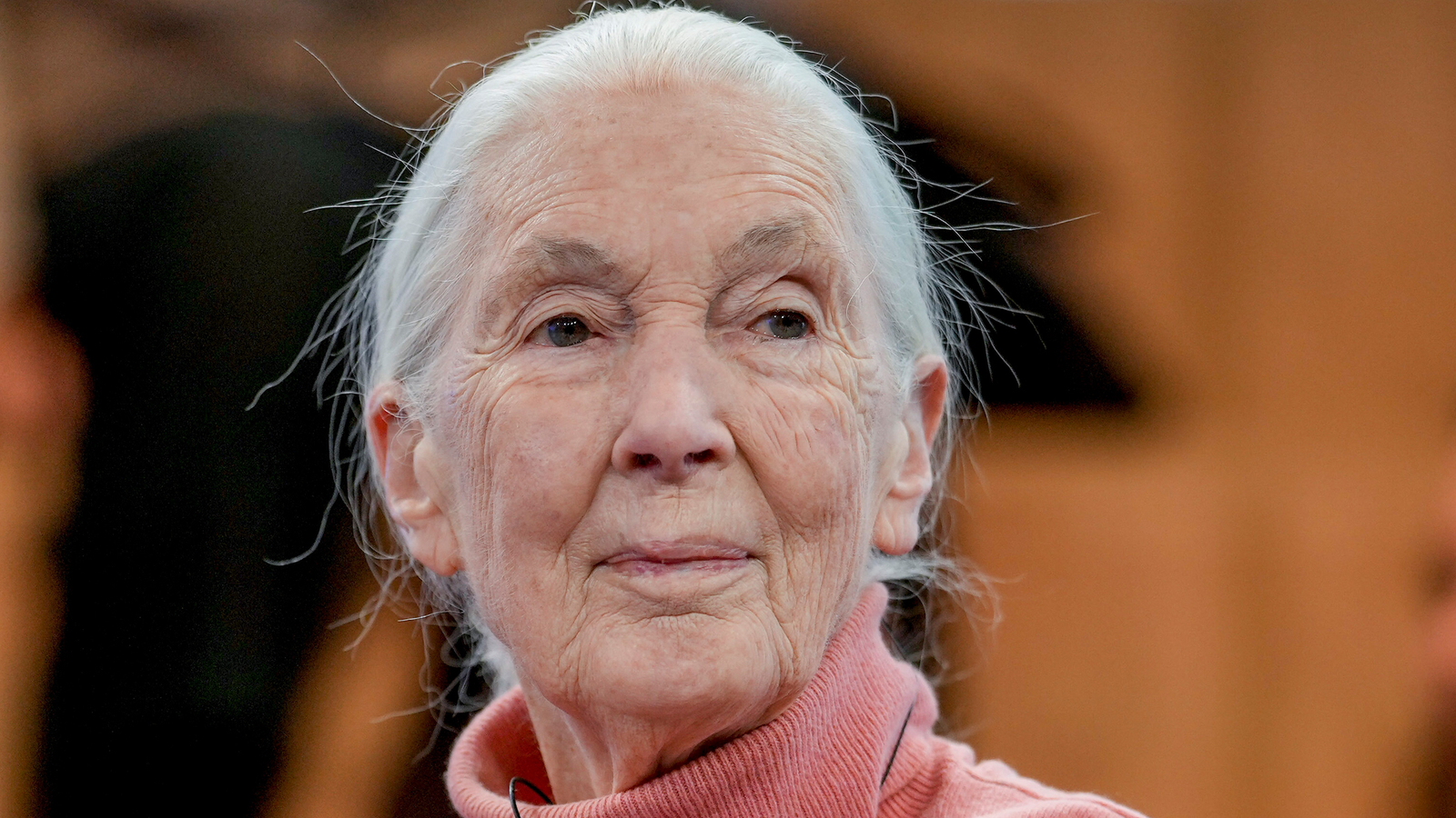 Jane Goodall, famed primatologist, anthropologist and conservationist ...