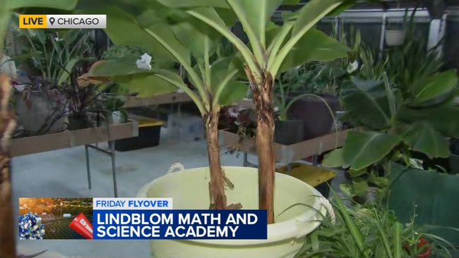 Friday Flyover: Lindblom Math and Science Academy - ABC7 Chicago
