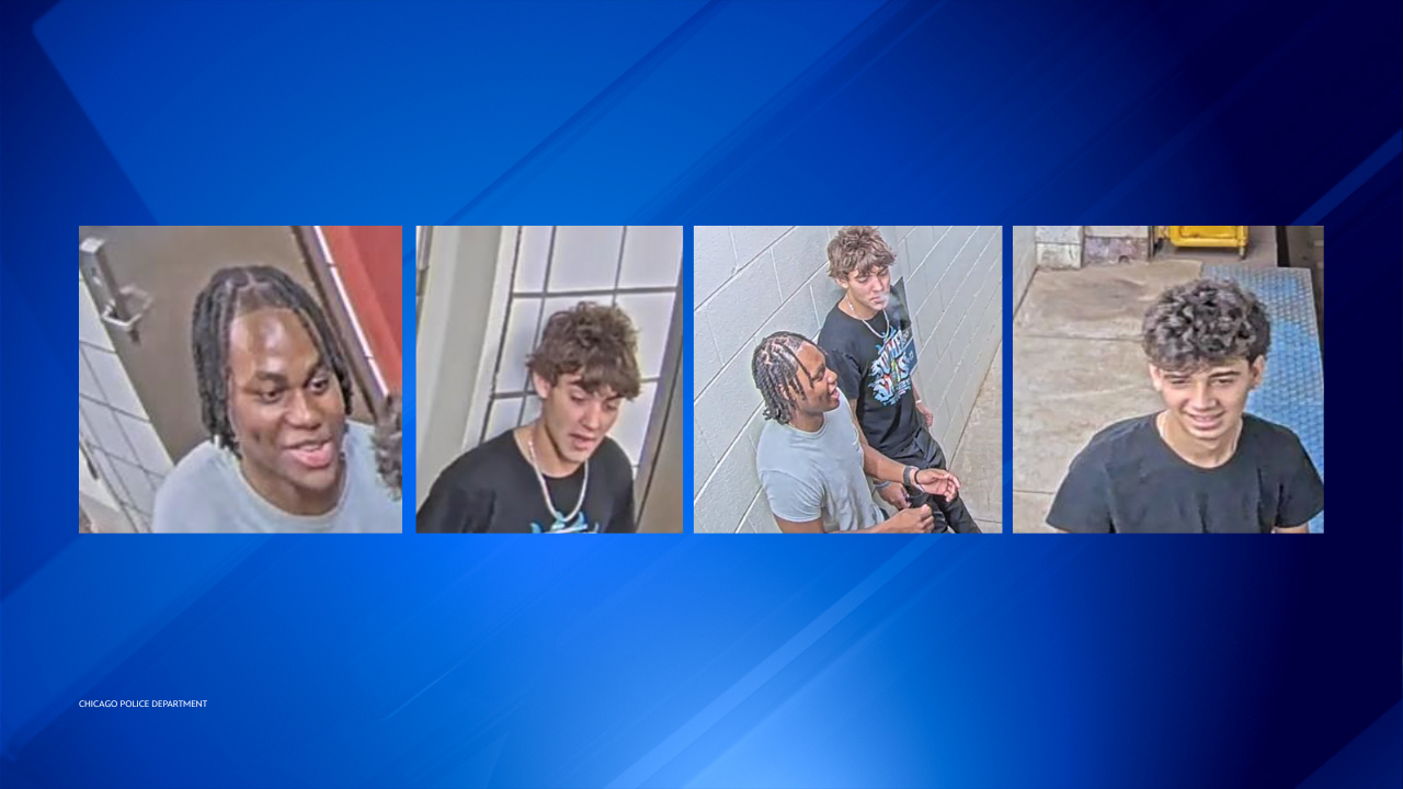 Chicago Police Department looking for 2 suspects in robbery on CTA ...