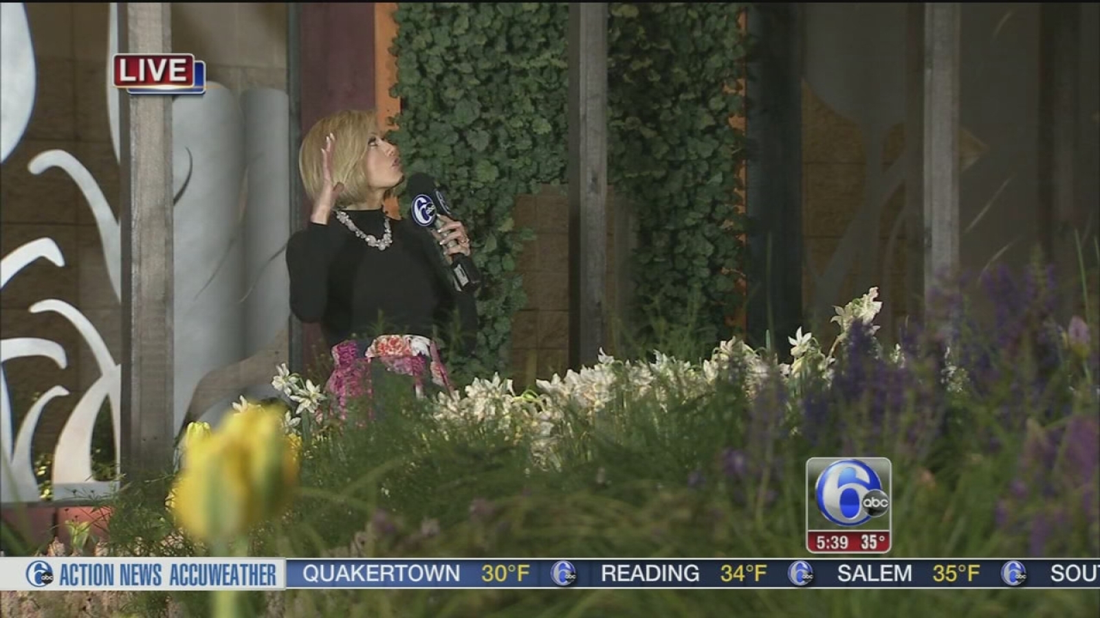 VIDEO: Cecily Tynan at Philadelphia Flower Show - 6abc Philadelphia