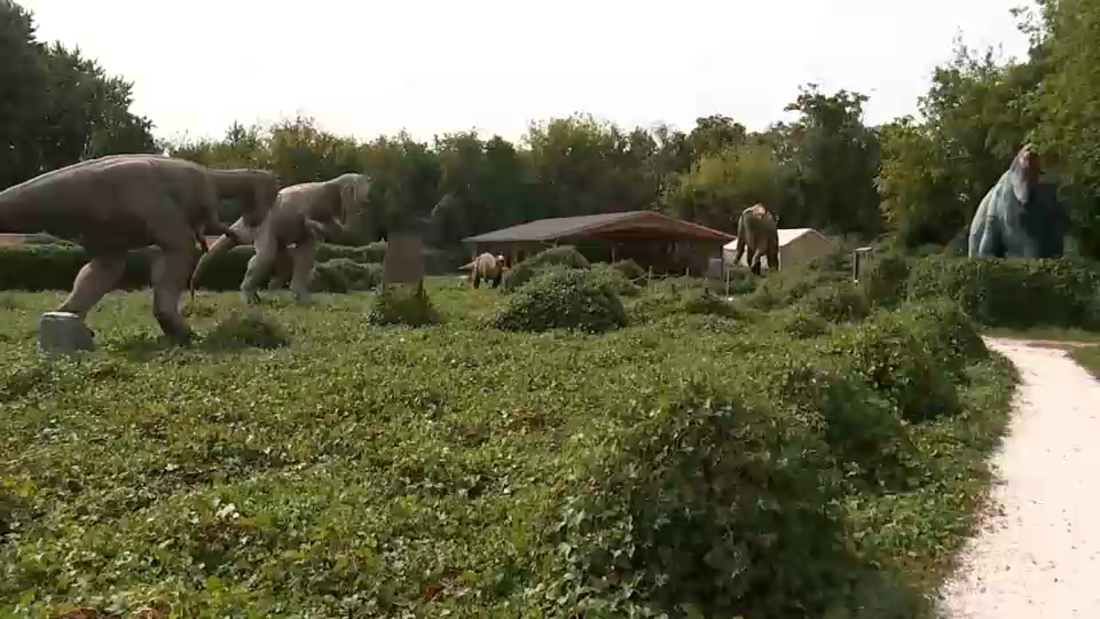 Field Station: Dinosaurs to close Nov. 9; Massive dinosaur animatronics ...