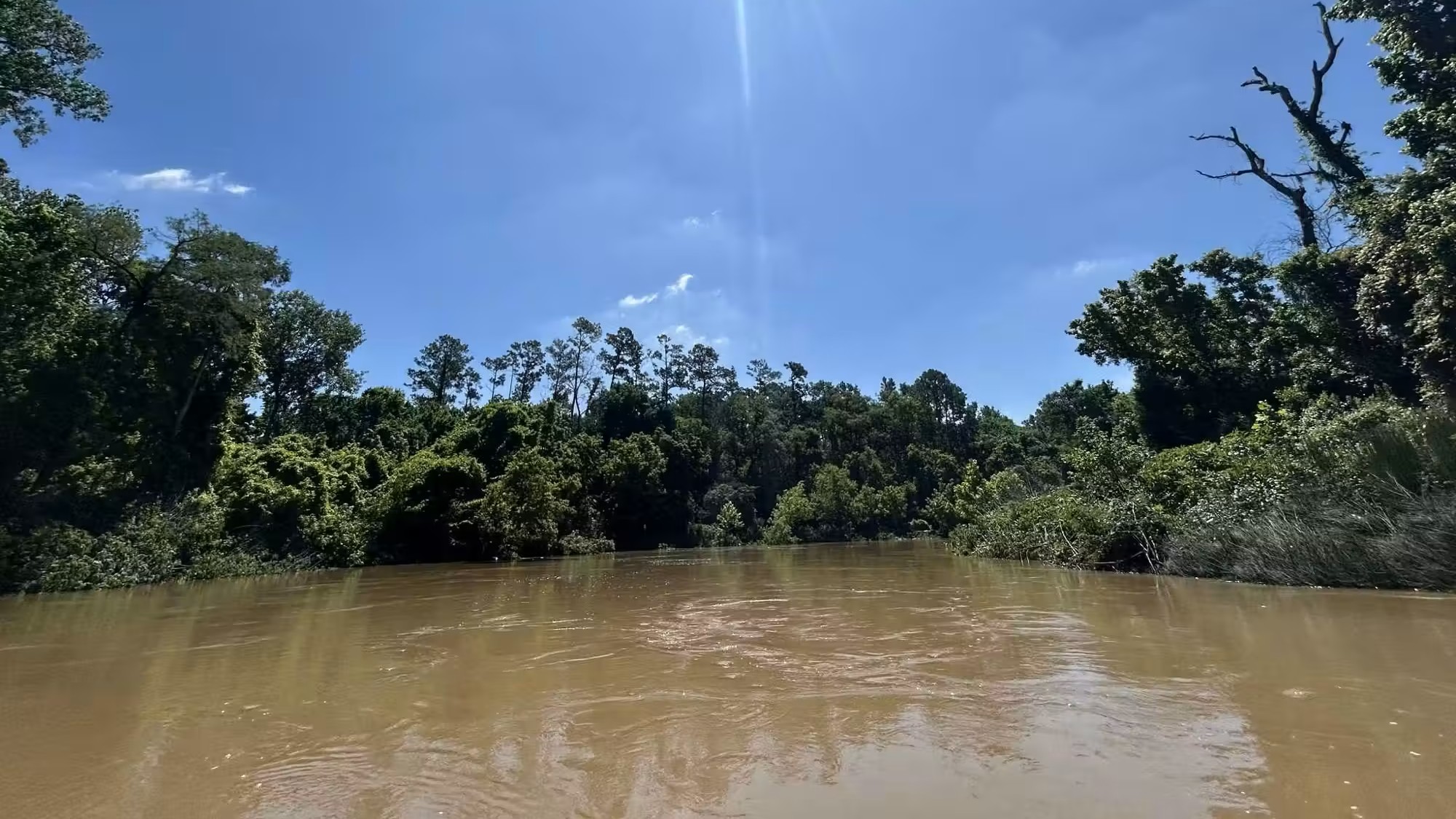 Texas Parks and Wildlife Department clears Greens Bayou in Houston as a ...